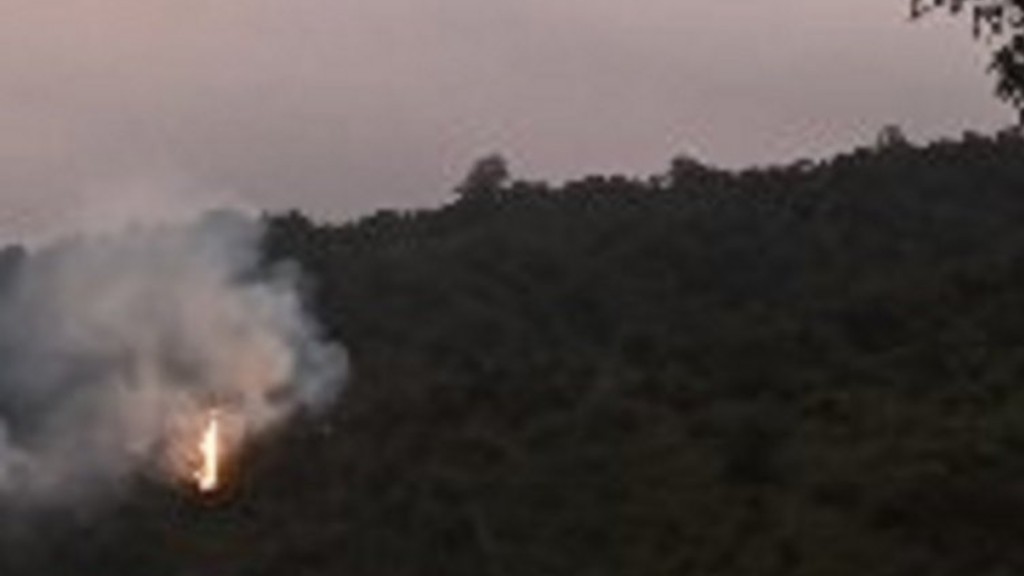 Diduga Gara-gara Rokok, Hutan Konservasi Gunung Salak Terbakar | Pantau