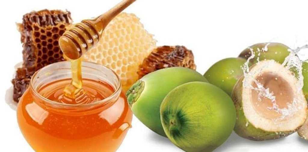 7 Manfaat Kesehatan dari Madu dan Air Kelapa untuk Tubuh - Pantau.com