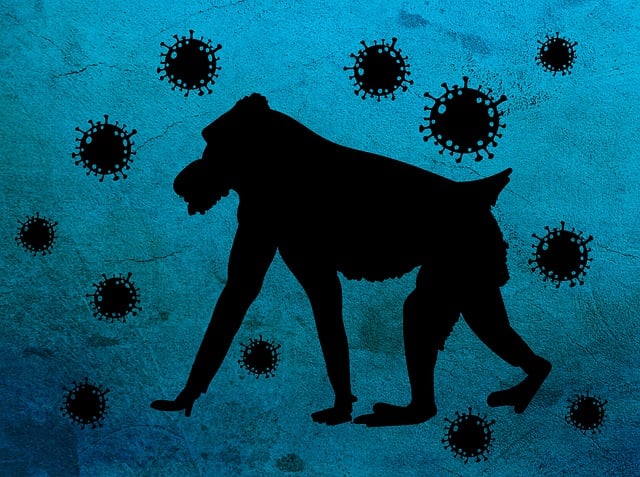 Wajib Tahu! Ini Beda Gejala Cacar Monyet, Cacar Air dan Campak - Pantau.com