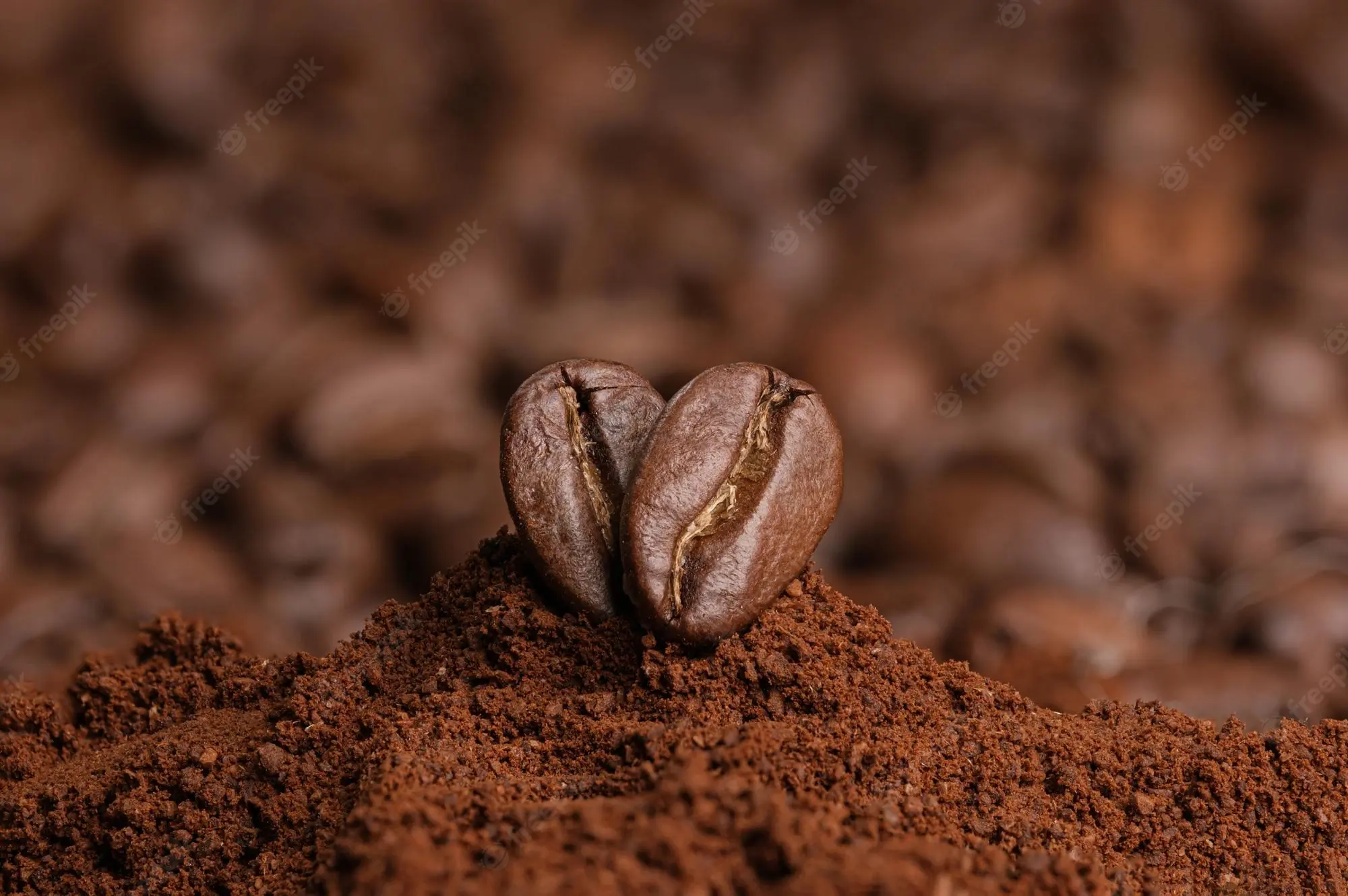 Juara 3 Kompetisi Penyeduh Kopi Terbaik Dunia, Ryan Wibawa Angkat Tema ...