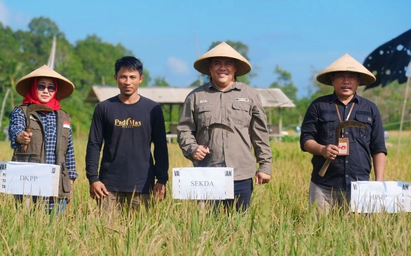 Wujudkan Ketahanan Pangan, Bintan Siapkan Lahan 19 Ribu Hektare - Pantau.com