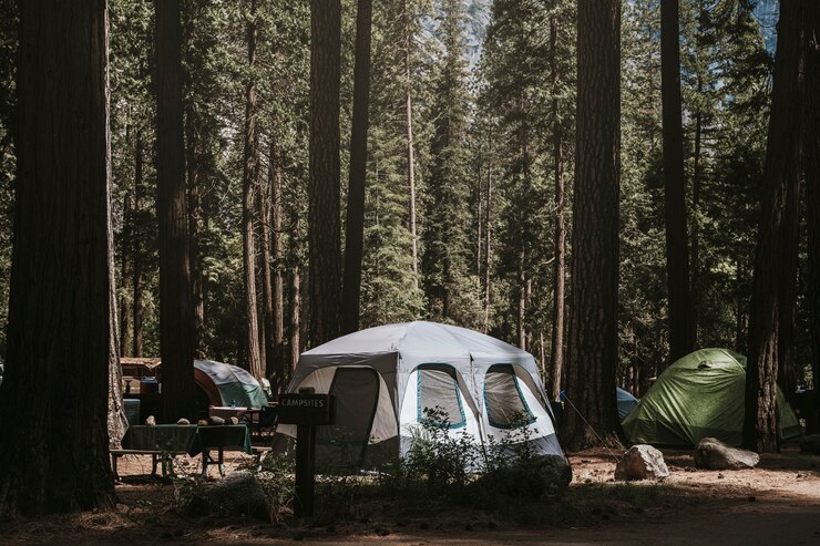Mengenal Jenis-jenis Tenda untuk Camping - Pantau.com