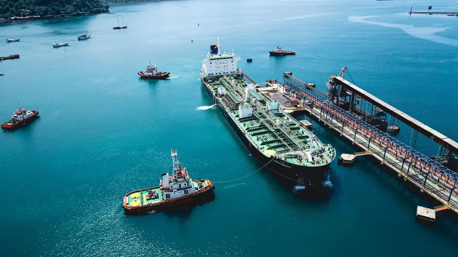 PTP Nonpetikemas Teluk Bayur Implementasikan Pelabuhan Ramah Lingkungan ...