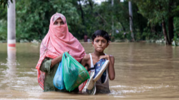 Pluit Jakarta Utara Kembali Diterjang Banjir Rob, BPBD: Warga Terendam Air Setinggi 40Cm ...