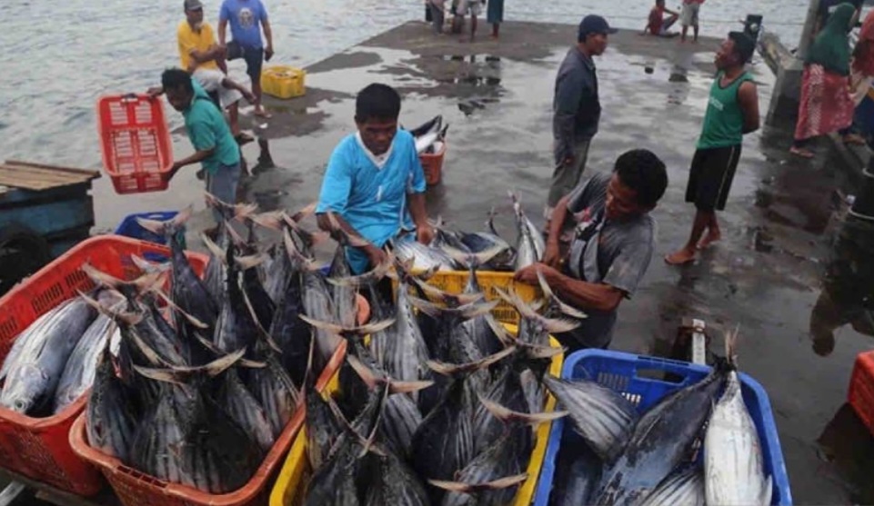 Hingga Desember, Segini Realisasi Bantuan Sektor Perikanan Tangkap ...