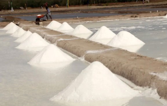 KKP Bangun Kawasan Industri Garam Nasional di Rote Ndao, Targetkan ...